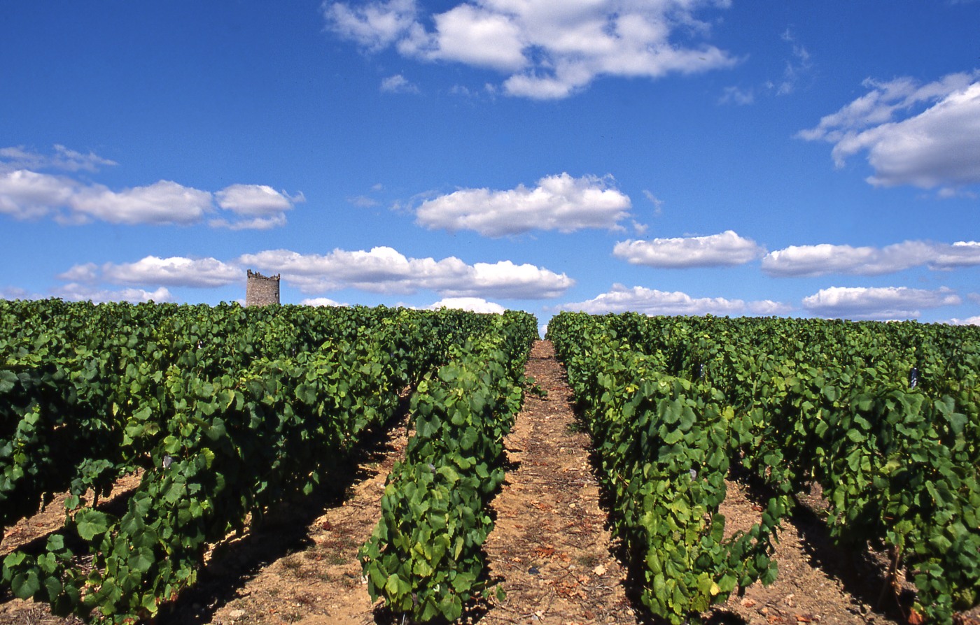 Les plus beaux vignobles de France